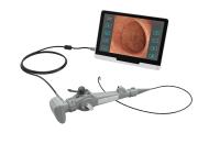China 3.0mm Veterinary Endoscopy Equipment Flexible Pet Bronchoscope for sale