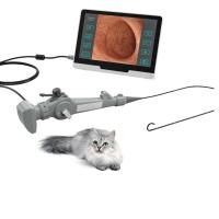 China 250mm Veterinary Medical Equipment Veterinary Gastroscope For Cat Dog Horse for sale