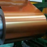 China PPGI Coil Prepainted Galvanized Steel Coil Ral 9003 Color Coated for Automobile Manufacturing for sale