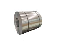 China 18 Gauge 1.4513 405 Hot Rolled Steel Coil Customized Length for sale