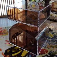 China Modern Acrylic Cat Bed Luxury Bedroom Furniture Pet Nightstand Combination for Home for sale
