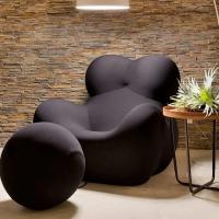 China Lazy Designer Sofa Chair Luxury Lounge Furniture Comfortable Modern for Living Room Balcony for sale