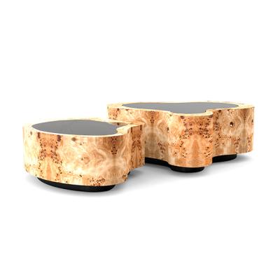 China Irregular Shaped Stainless Steel Marble Coffee Table Villa Hotel Design for sale