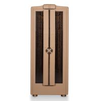 China Modern Safe Jewelry Cabinet Stainless Steel Leather Lock Password Italian Style Design for sale