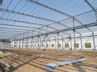 China Customizable Steel Structure Building for Warehouse Workshop H Beam Q235B for sale