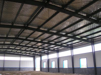 China Wide Span Steel Structure Warehouse Painted Galvanized Surface Wide Span Steel Buildings for sale