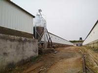China Customized Steel Structure Poultry House ISO9001 Low Cost Chicken Farm Building for sale