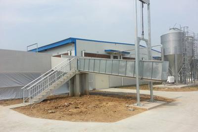 China Galvanized Steel Structure Poultry House Building , Light Steel Structure Egg Chicken Farm for sale