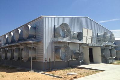 China Q235 Steel Structure Poultry House Light Steel Frame Chicken House 150000 Ton Capacity for sale