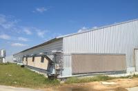 China Q235 Steel Structure Poultry House Light Steel Frame Chicken House 150000 Ton Capacity for sale