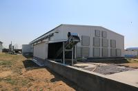 China Pre Engineered Steel Chicken House Q355B Steel Structure Poultry Shed 100m Span for sale