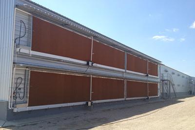China Pre Engineered Steel Chicken House Q355B Steel Structure Poultry Shed 100m Span for sale