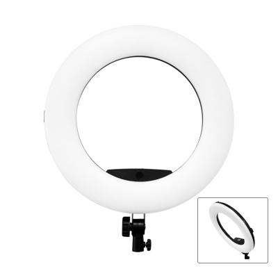 China 18-Inch LED Ring Light 48W Professional Photography Lighting with 4800lm Output and 3200-5500K Color Temperature for sale