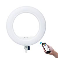 China 96W 18 Inch LED Ring Light with Bluetooth App Control for Phone Video Recording for sale