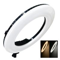 China Pink Warm Selfie Ring Light Bluetooth 4800lux Blogger Ring Light for sale