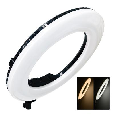 China Pink Warm Selfie Ring Light Bluetooth 4800lux Blogger Ring Light for sale