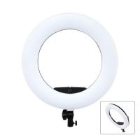 China Daylight 18 Inch LED Ring Light 96W CRI 96 FE-480II Ring Lamp with Stand for Beauty Livestream for sale
