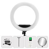 China 22 Inch 100W LED Ring Light with 3200K-5600K Color Temperature and 80-260cm Adjustable Stand for sale