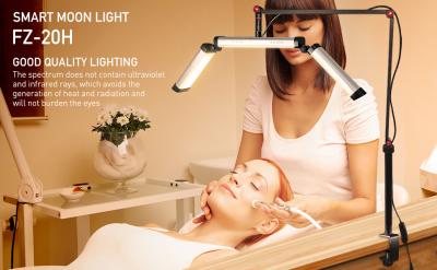 China Yidoblo FZ-20H 20W LED Arm Light Lamp 5600K for Tattoo Eyelash Nail Beauty Makeup Extension for sale
