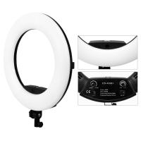 China 48W 18 inch Dimmable Ring Light 4800lm 95 CRI for Live Broadcast Photography Fill Light for sale