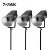 China ZR Series 300W LED Studio Light All Aluminum Alloy Body High Brightness Daylight Photography Light for Webcasting for sale