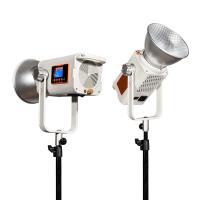China ZR-300BI 300W LED Video Light 2700K-6500K Dimmable Spotlight for Portrait Photography Fill Light for sale