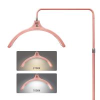China Yidoblo 60W Half Moon LED Floor Light Dimmable 3200-6500K Shadow-Free Lamp for Lash Techs Estheticians Tattoo Artists for sale