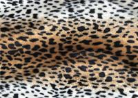 China 100% Polyester S Wave Animal Printed Velboa Sofa Velvet Upholstery Fabric 230GSM 150cm for sale