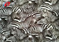 China Short Hair Printed Zebra Stripe Polyester Velvet Fabric 60 inch 300gsm Minky Plush Toy Fabric for sale