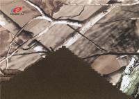 China Dark Colour Stretch Polyester Fabric Polar Fleece Complex Print For Jackets for sale