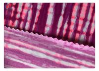 China Warp Knit Print Nylon Spandex Fabric 220gsm 58-60 Inch for Underwear Yoga Suit for sale