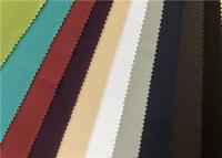 China 87% Nylon 13% Spandex Stretch Anti Bacteria Fabric for Shapewear 240gsm 160cm for sale