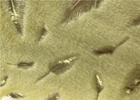 China 230GSM Feather Pattern Bronzing Minky Plush Fabric For Baby for sale