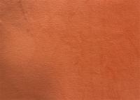 China Warp Knitted Minky Plush Fabric 100% Polyester 150cm Width for Baby Blankets for sale