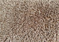 China Customized Color Minky Plush Fabric 2cm 100% Polyester 160cm Width for Shoes Toys for sale