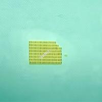 China 1.0*0.5mm Wafer Packaging 1005 CSP Chip LED Chip 1800-6500K For Smartwatch Automotive Interior Lighting for sale