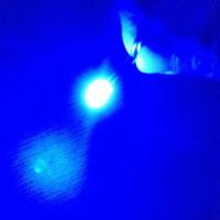 China 5mm LED Diode 460nm Blue Color 10000mcd 3V Transparent Round Lens With Flange for sale