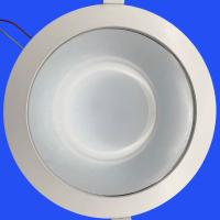 China Rubicon Capacitor Customized LED Modules CB/CE/IEC Certificated 156LM/W 25W 220V AC DOB LED Module for sale