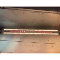 China 50W 240V 3500K Dual Chip 660nm 730nm Samsuang LEDs DOB AC LED Module For Horticulture Lights for sale