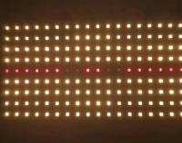 China Customized 70W Triac Dimmable 220V AC Quantum Board Full Spectrum LED Light Engine For Horticulture Lights for sale