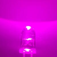 China 5mm LED Light Diode Pink Color 2000-3000mcd Clear Lens Round Head With Flange Short Pins For Lighting for sale
