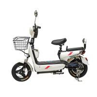 China Steel Frame Racing Electric Motorcycle 48V Lead Acid Battery 350W Brushless Motor for sale