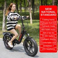 China 48V 10.4Ah Lithium Battery Aluminum Alloy Electric Bicycle 500W Motor 21 Speed for sale