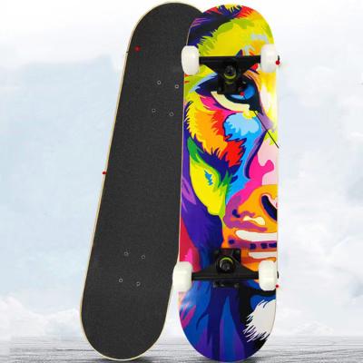 China Custom Maple Skateboard 31x8in PU Wheels ABEC-7 Bearings Heat Transfer Printing for sale