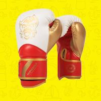 China Professional Pu Leather EVA Topten Custom Printed Boxing Gloves Breathable for sale