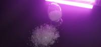 China HAA 95/5 Powder Coating Polyester Anti Blooming Excellent Mechanical Property for sale