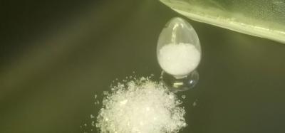 China HAA Curing 92/8 Resin Superdurable Fast Cure Componet for sale