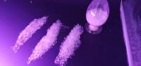 China 60/40 Saturated Polyester Resin General Purpose Impact Resistant Good Flow for sale