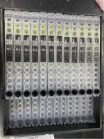 China cTnI Myo CK-MB Diagnostic Reagents 24 Tests for Fully Automated Immunoassay Analyzer IVD POClia for sale