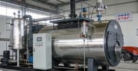 China DHW Series Biomass Boiler 20-75 t/h Steam Capacity Water Tube 1.25-9.8 MPa for sale